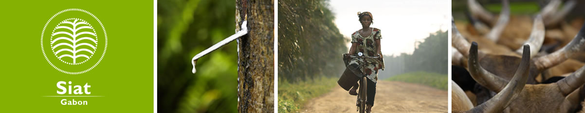 Espace Emetteurs - BVMAC: Bourse des Valeurs Mobilières de l'Afrique ...