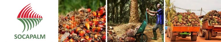 Espace Emetteurs - BVMAC: Bourse des Valeurs Mobilières de l'Afrique ...